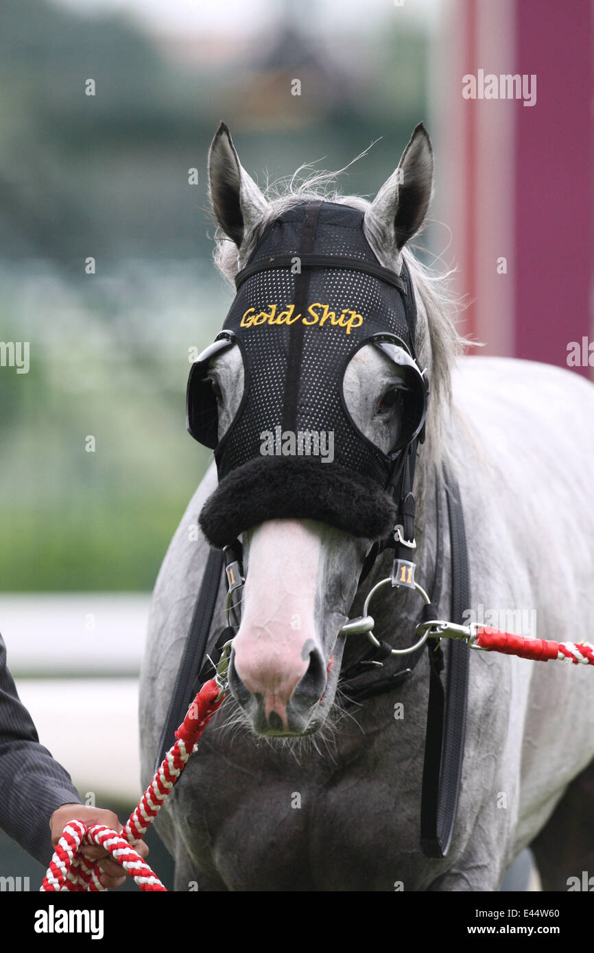 Hyogo, Japan. 29th June, 2014. Gold Ship Horse Racing : Gold Ship after ...