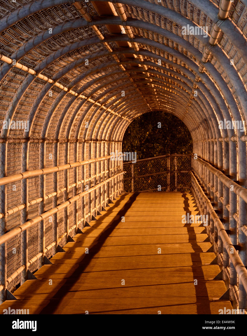 Enclosed pedestrian bridge hi-res stock photography and images - Alamy