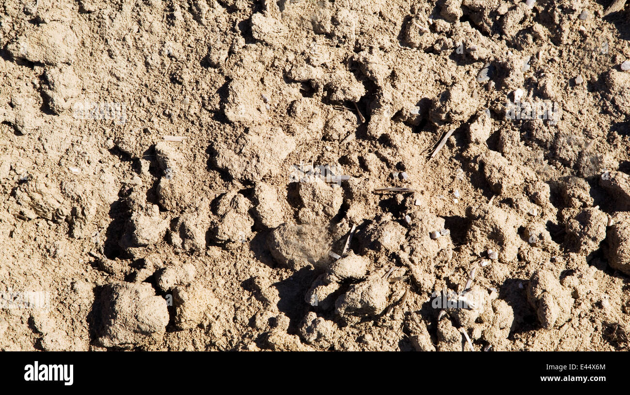 Excavated earth during excavation work at a construction site Stock ...