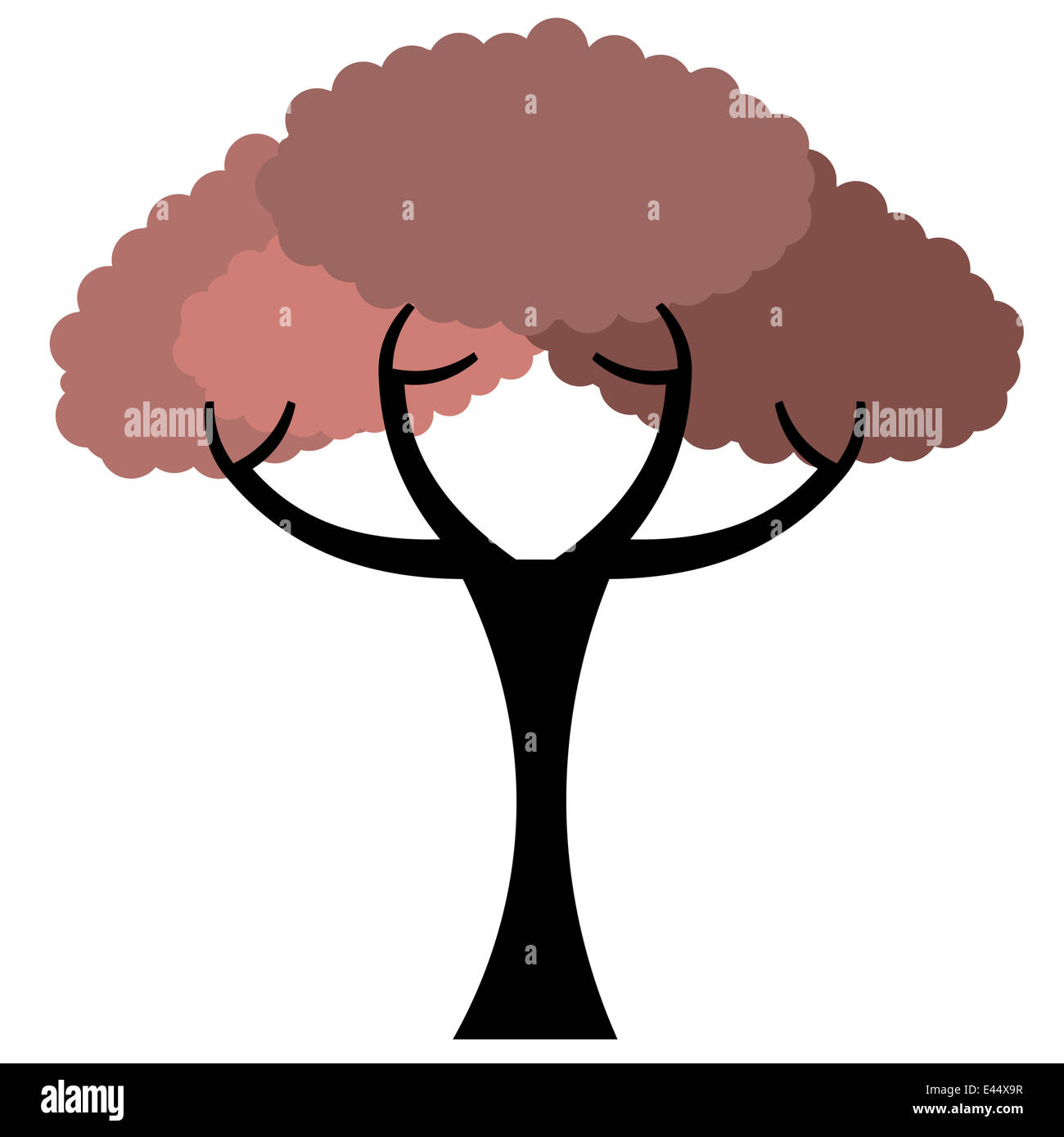 Colorful tree isolated on white background Stock Photo - Alamy