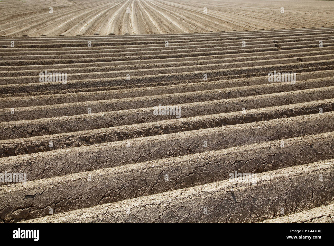 A freshly plowed field in agriculture Stock Photo - Alamy