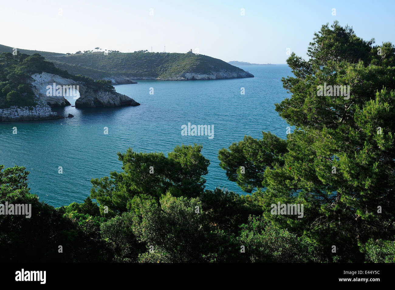 Coast of Gargano National Park, Puglia, Italy, Europe Stock Photo - Alamy