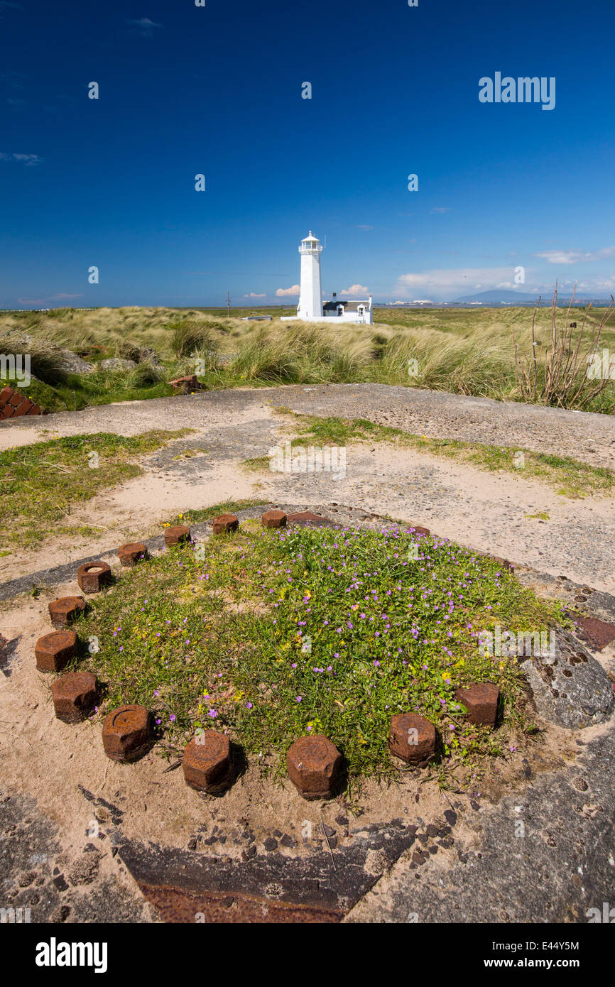 The lighthouse on Walney Island, Cumbria, UK, with wild flowers growing ...