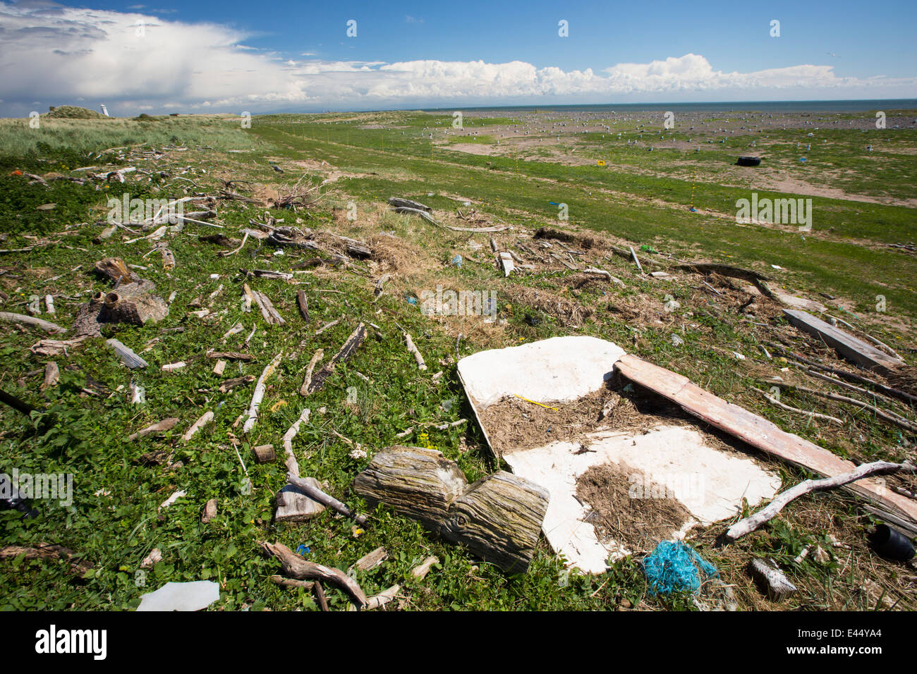 High tide wrack line hi-res stock photography and images - Alamy