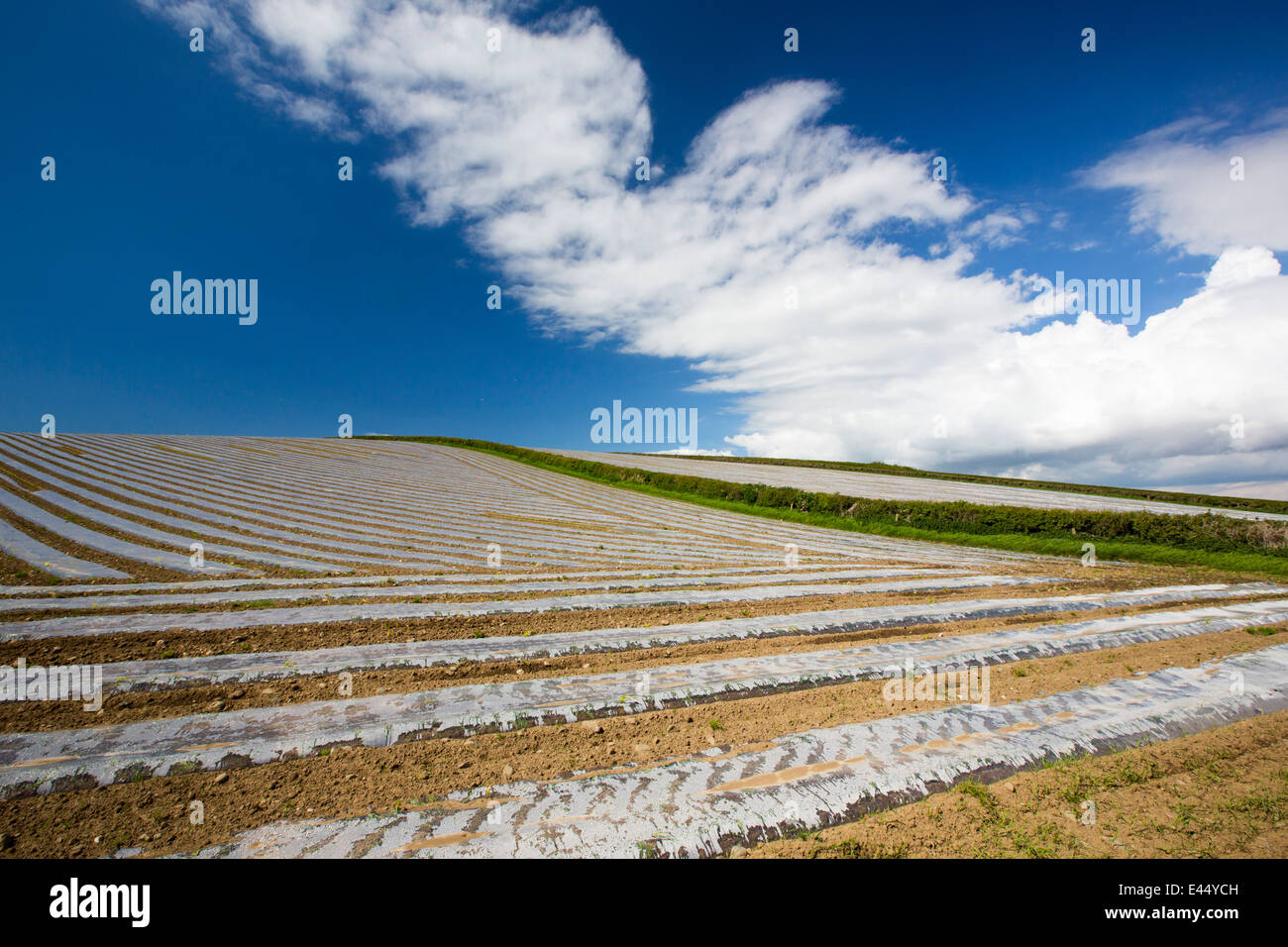 Crop of pattern hi-res stock photography and images - Alamy