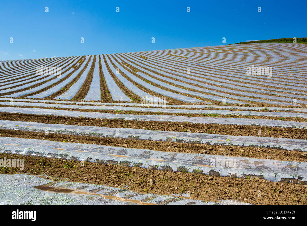 Crop of pattern hi-res stock photography and images - Alamy