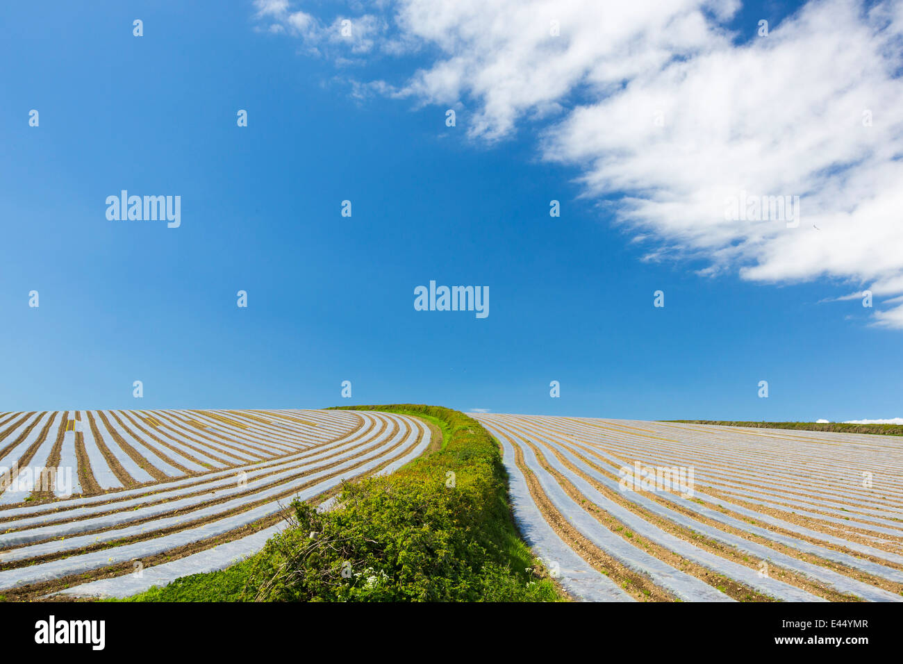 Soil plastic hi-res stock photography and images - Alamy