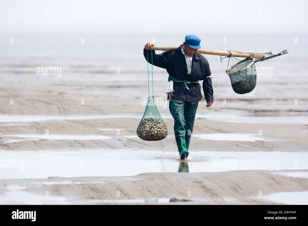 A traditional shellfish fisherman walks back as the tide comes in, Pu ...