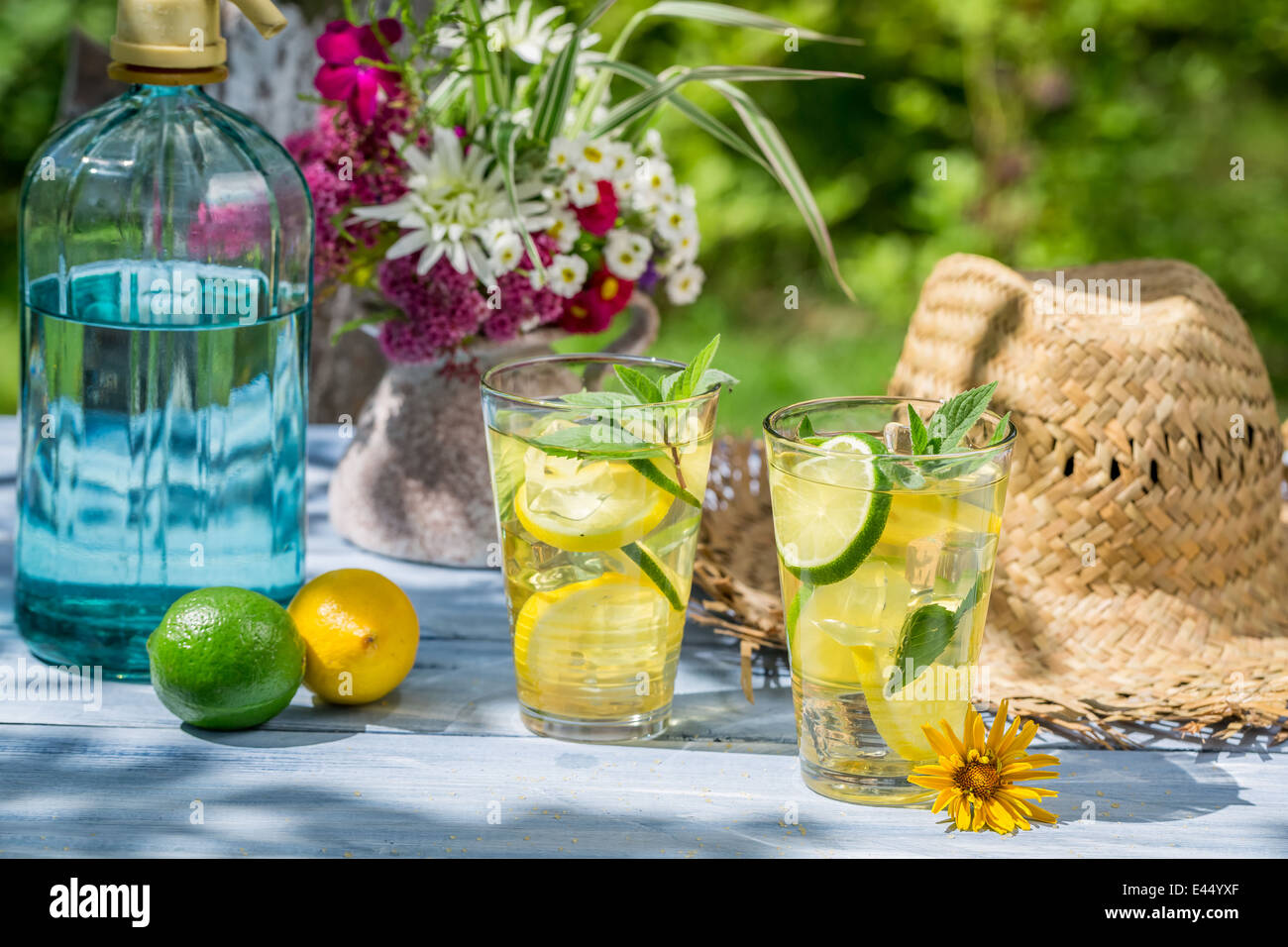 Summer garden fruit hi-res stock photography and images - Alamy