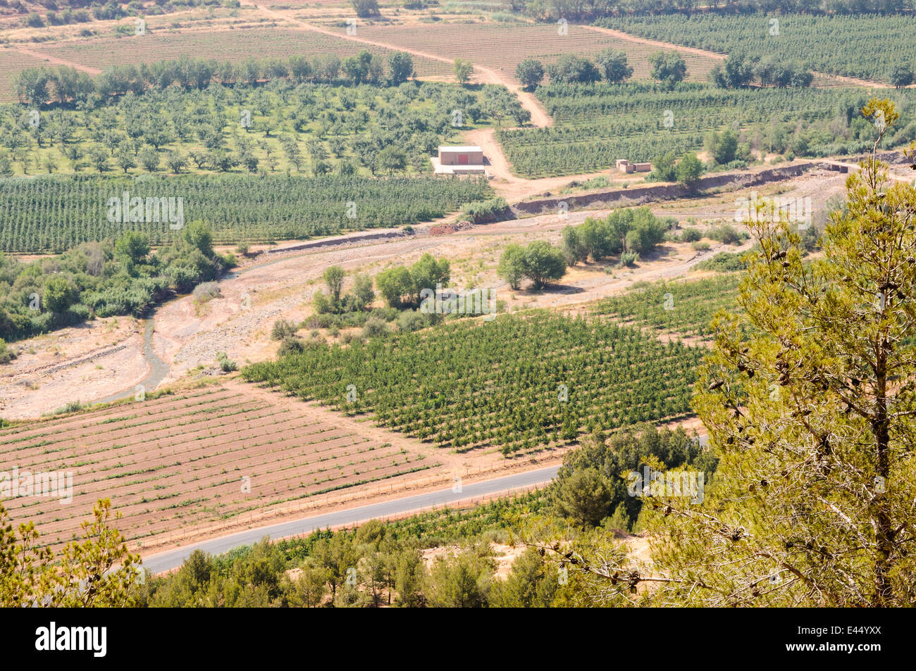 Agricultural land at the bottom of a valley in the Atlas Mountains ...