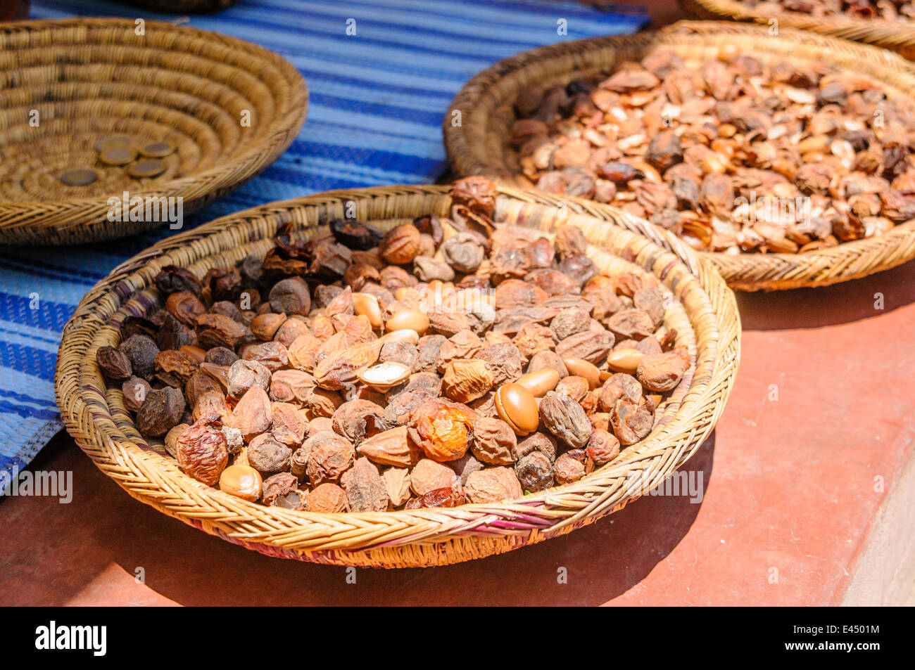 A Moroccan woman grinds Argan Nuts up the Atlas Mountains, Morocco ...