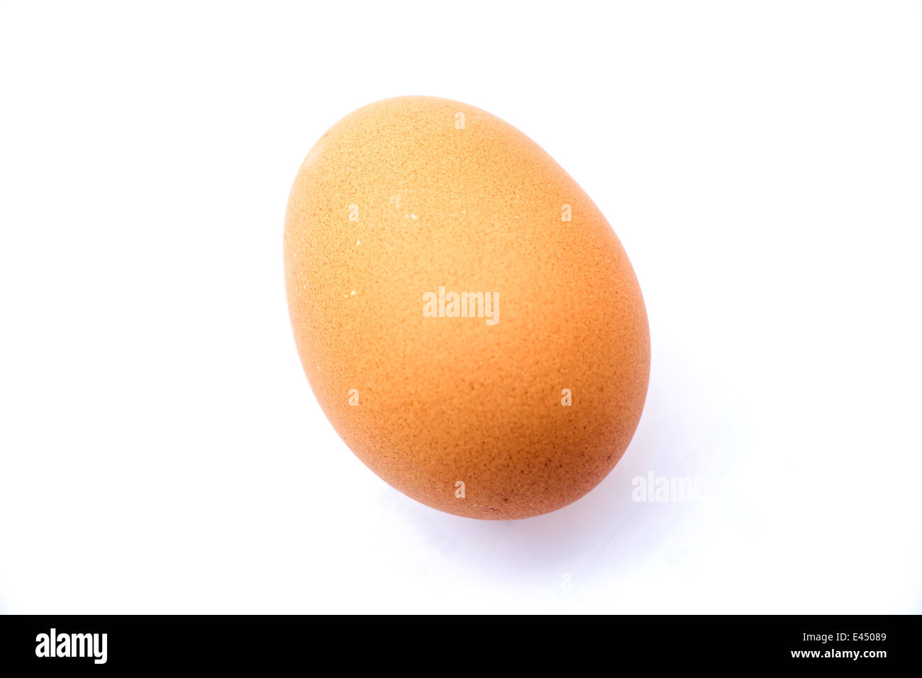 Egg on white background Stock Photo - Alamy