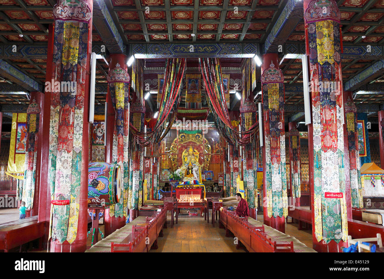 Monk praying in the prayer hall in Amarbayasgalant Monastery, Selenge ...