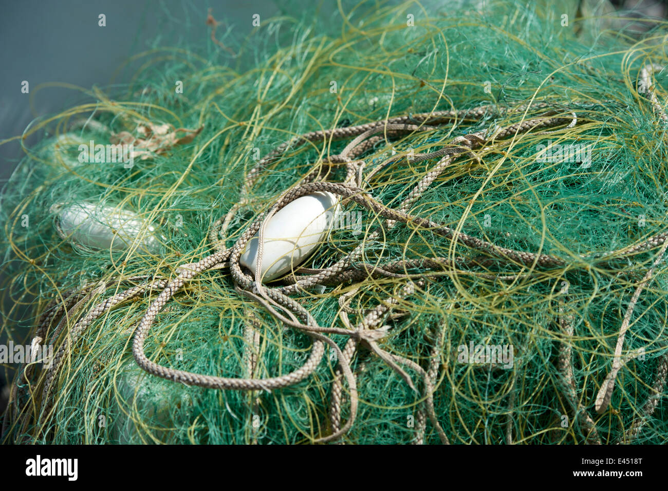 Crab nets hi-res stock photography and images - Alamy