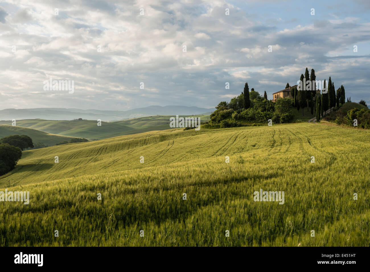 Farm with cypress trees hi-res stock photography and images - Alamy