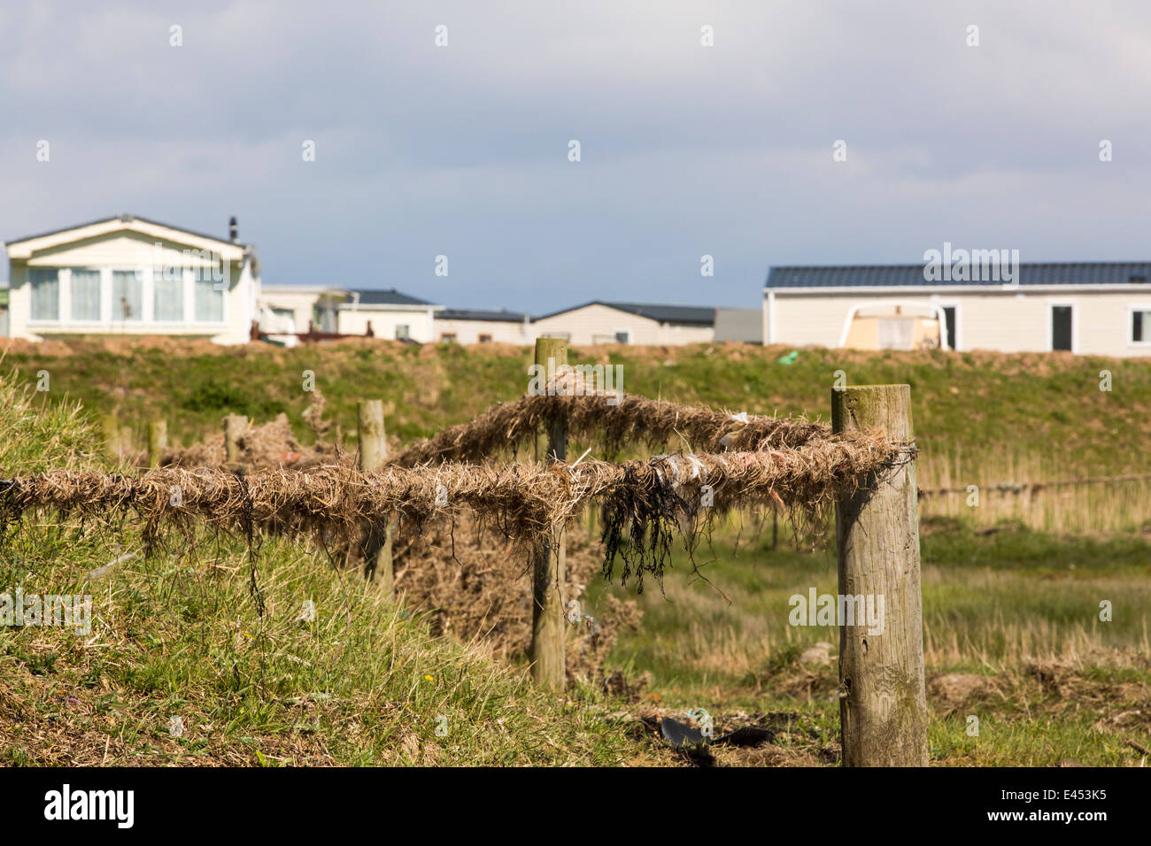 High tide wrack line hi-res stock photography and images - Alamy