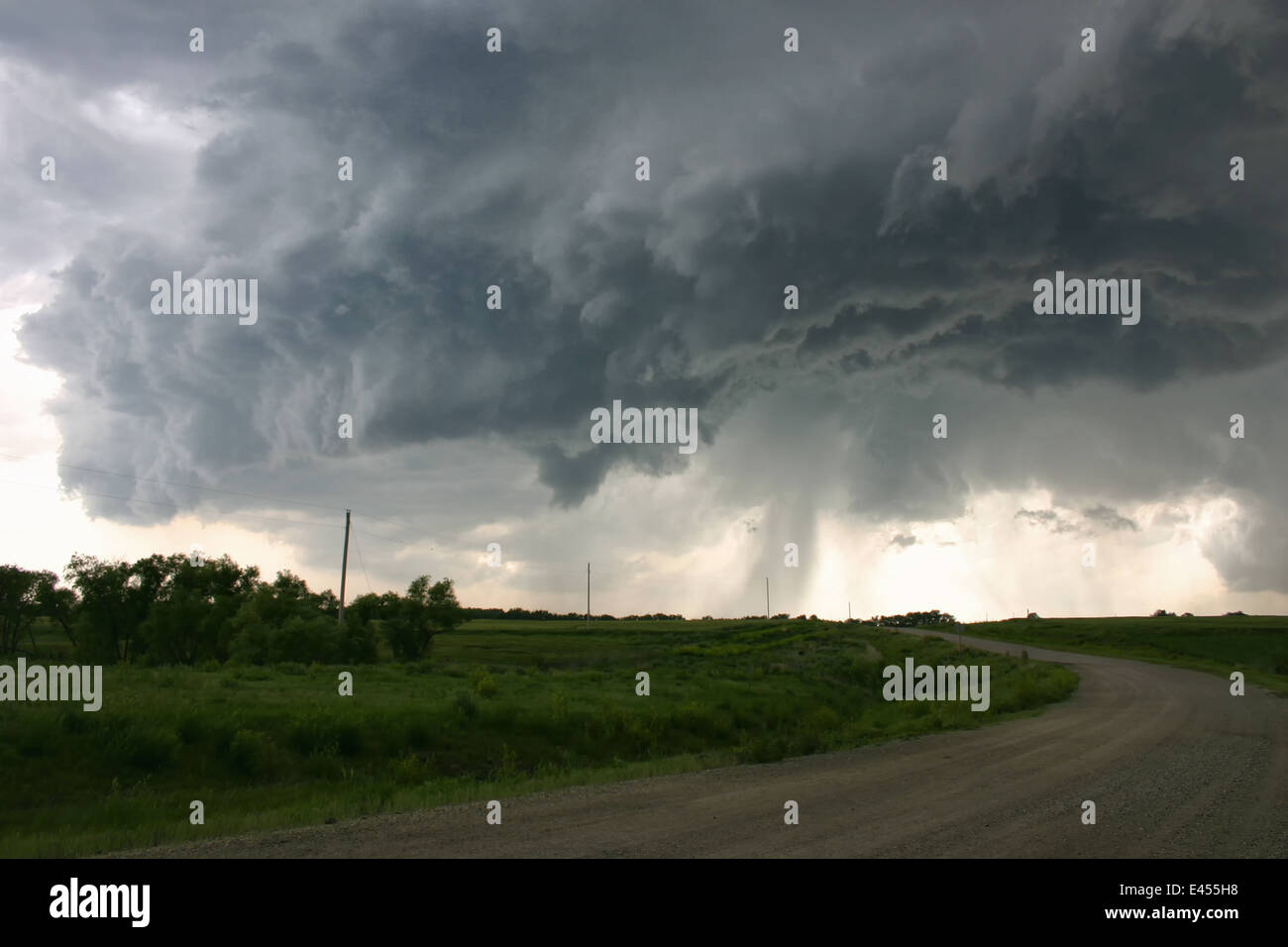 A stout funnel cloud forms under the updraft of a supercellular storm ...