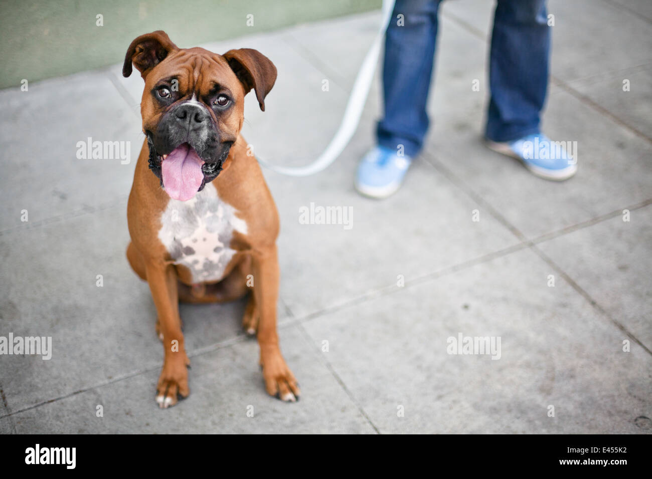 Cropped pants hi-res stock photography and images - Alamy