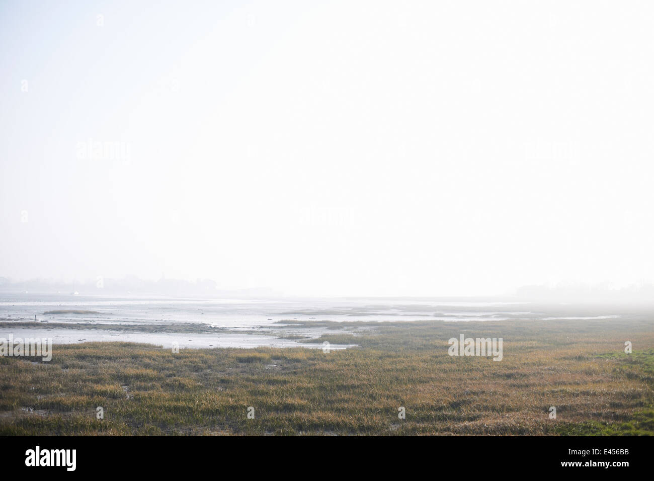 Coastal marshes hi-res stock photography and images - Alamy