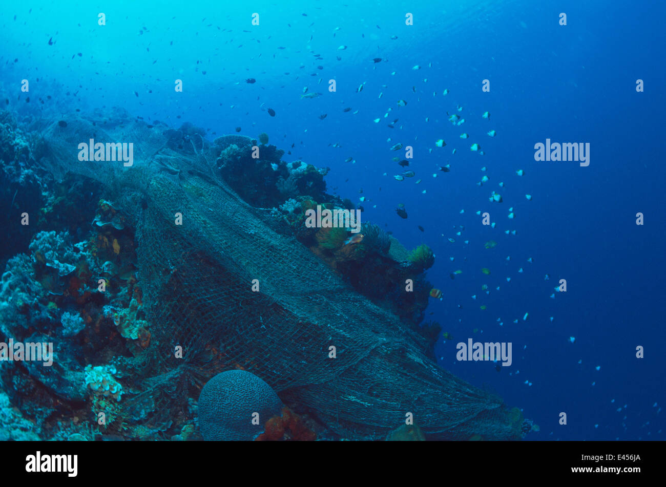 Indian ocean contamination hi-res stock photography and images - Alamy