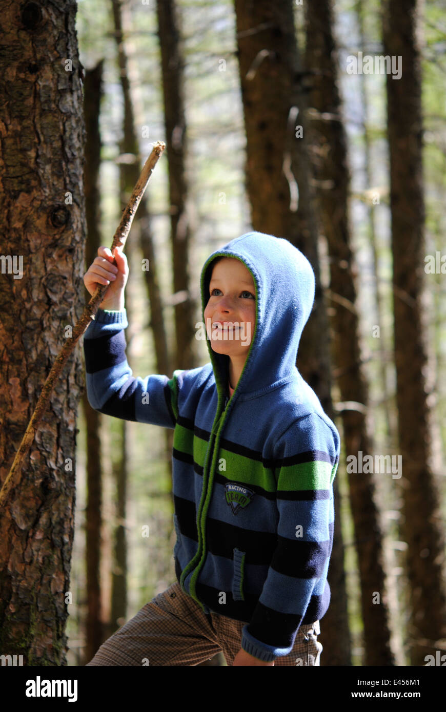 Wonder forest hi-res stock photography and images - Alamy