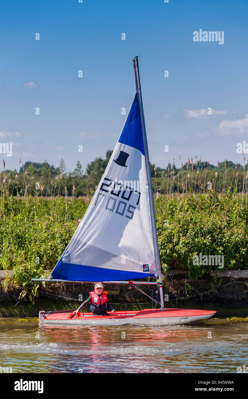 Boy sailing a Topper dinghy at Beccles Amateur Sailing Club on the ...