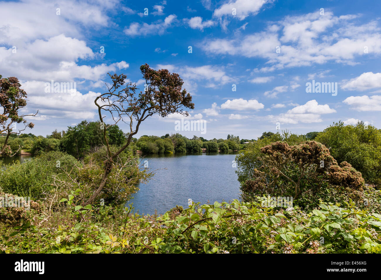 Broome pits near Bungay, Suffolk, England, Great Britain, UK Stock ...
