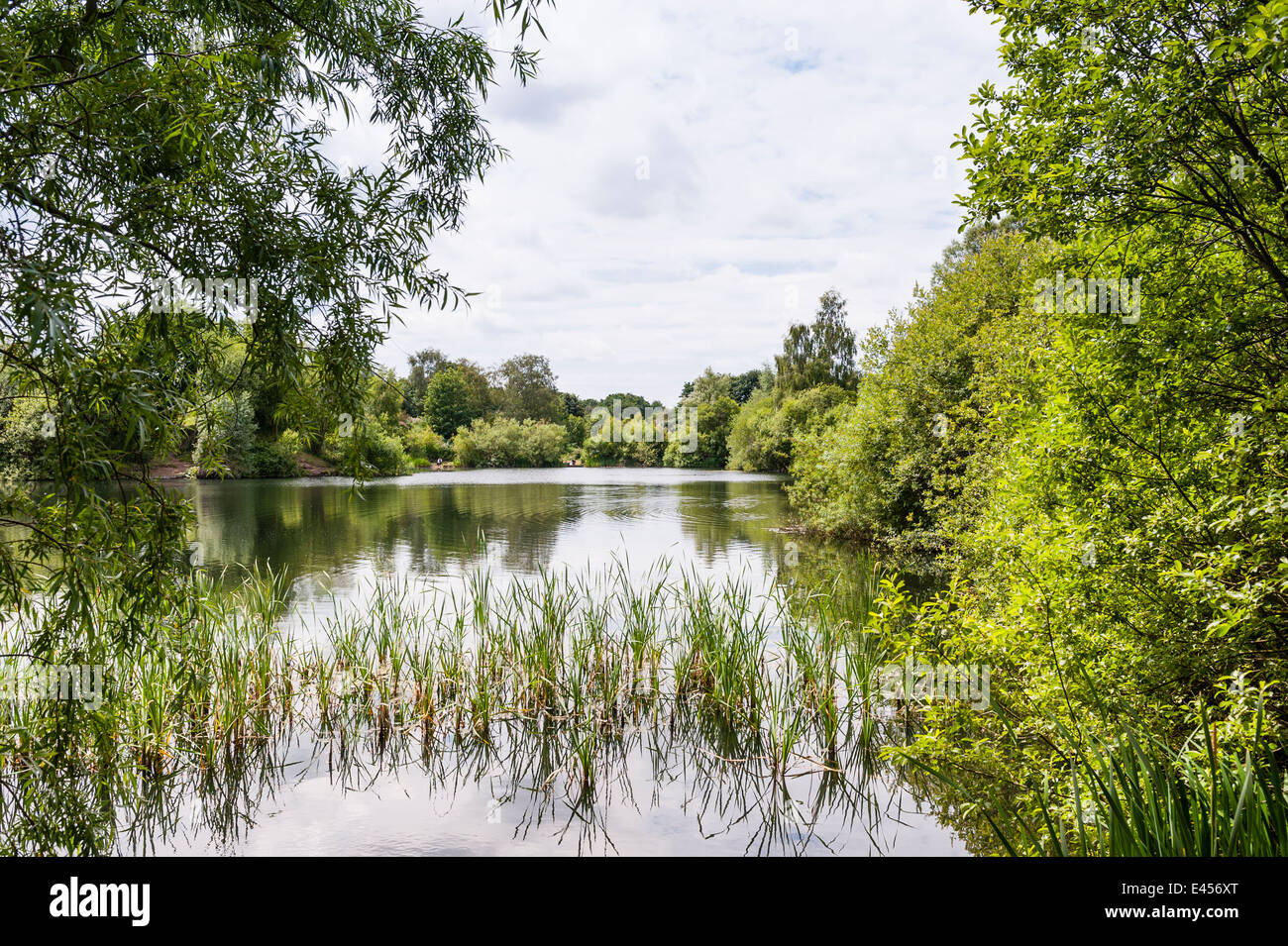 Broome pits near Bungay, Suffolk, England, Great Britain, UK Stock ...