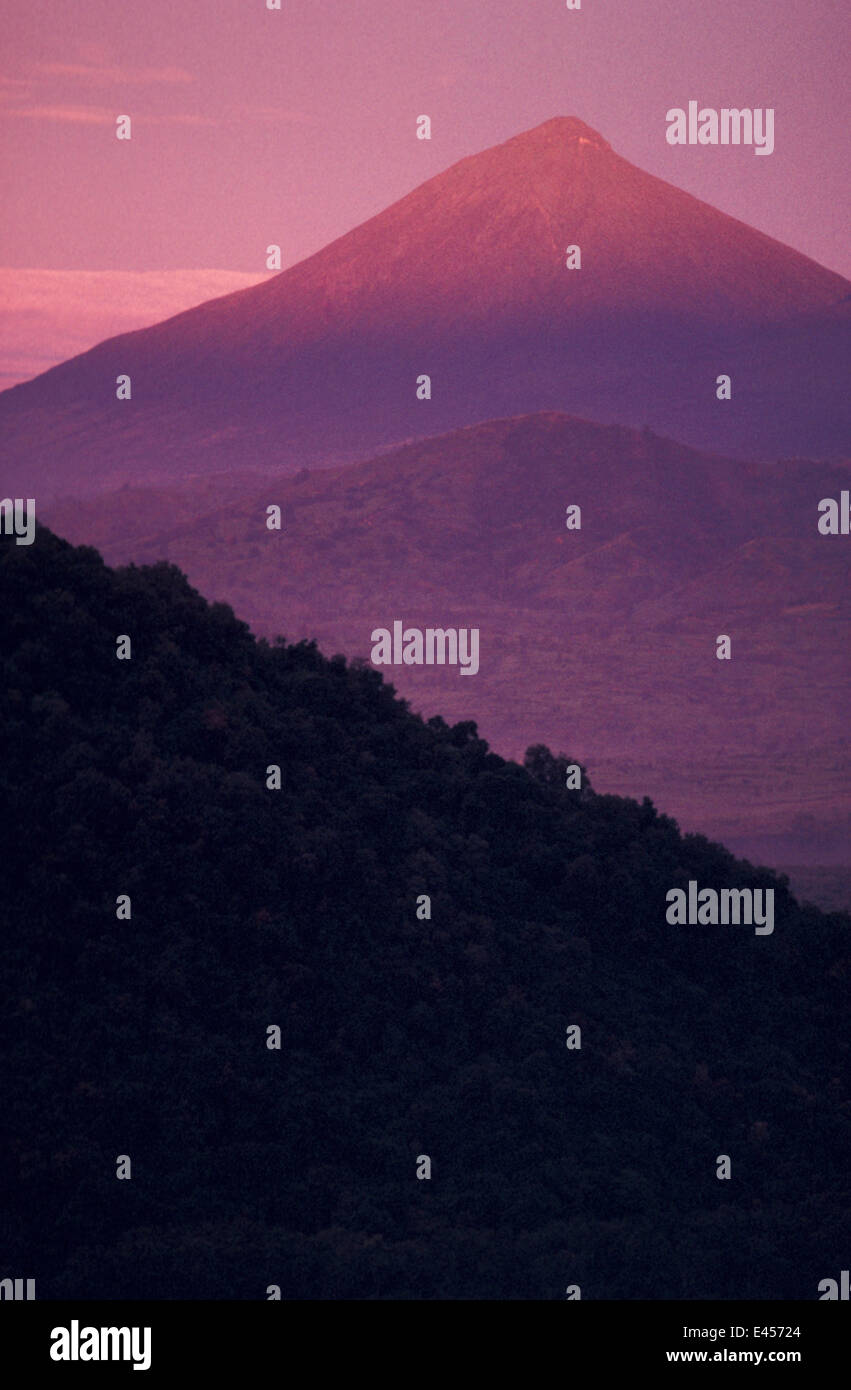 Muhavura volcano viewed from Tongo. Sunset. Virunga NP, Congo / Zaire ...