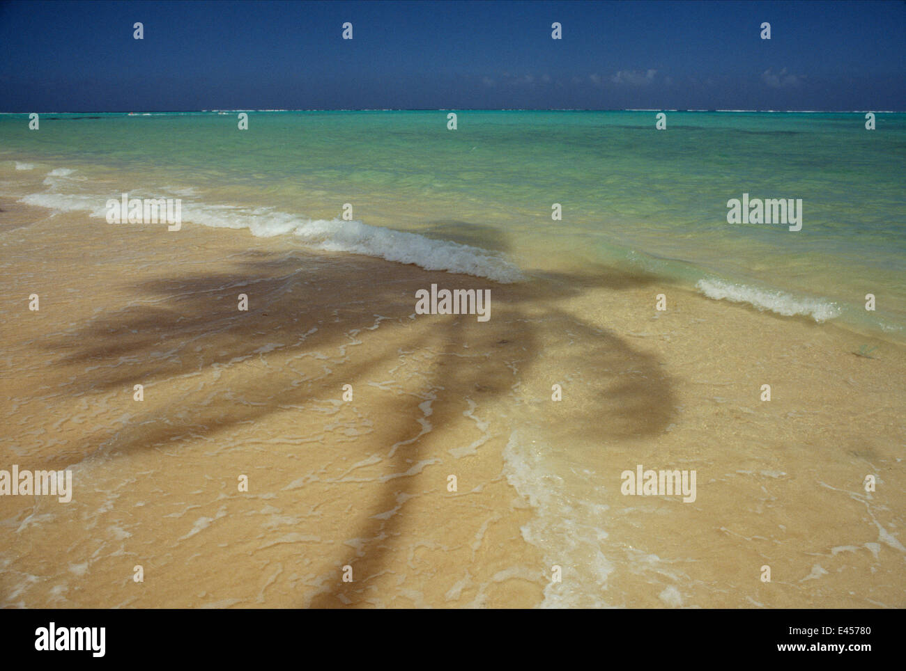 Palm tree shadow on beach nd sea shore, Tobago, Caribbean Stock Photo ...