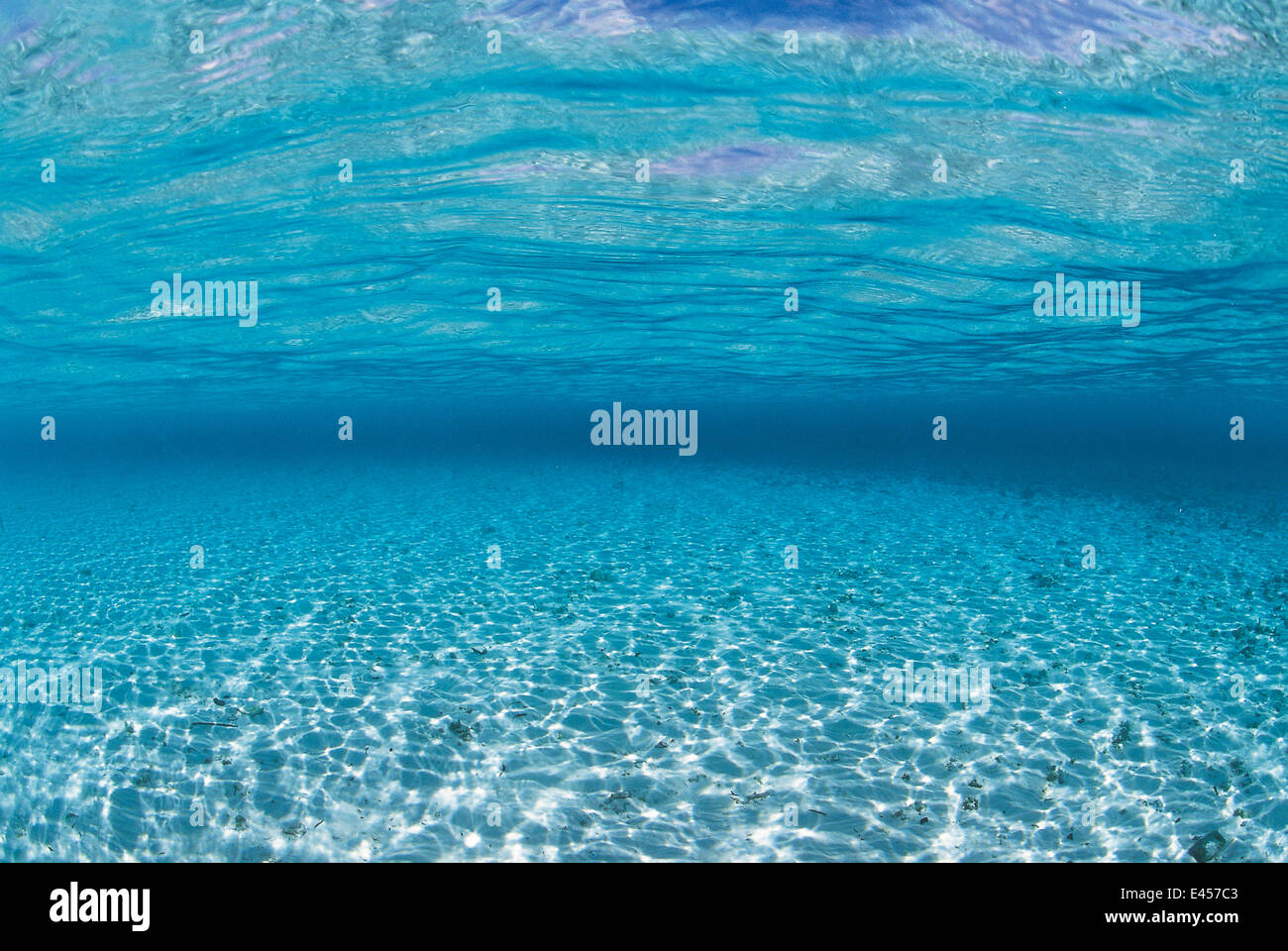 Sandy seabed underwater view. Indo-pacific Stock Photo - Alamy