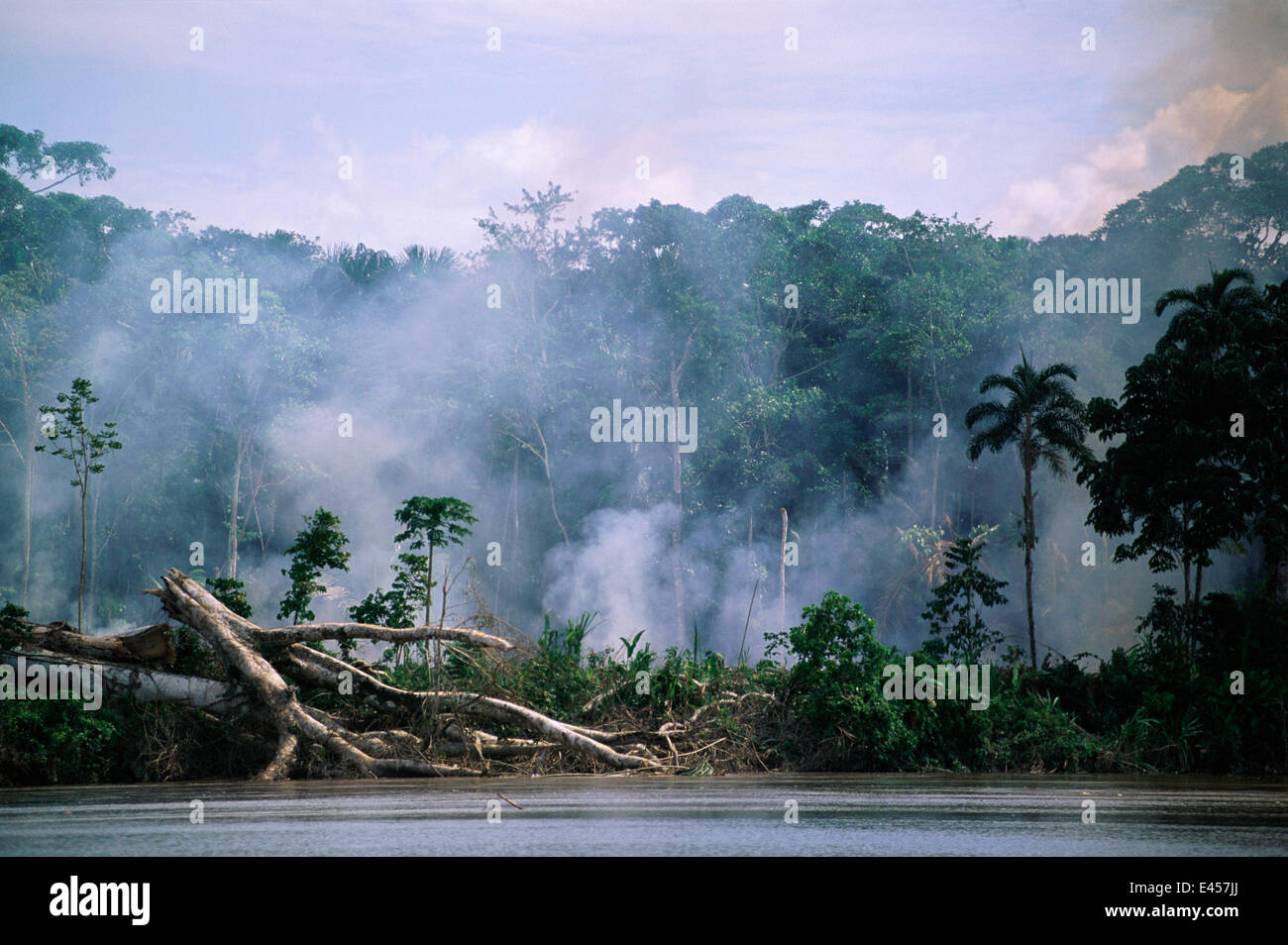 Deforestation - smoke from fires in Amazon rainforest along river bank ...