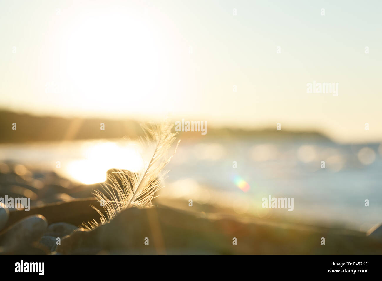 Nature scene at sunset Stock Photo - Alamy