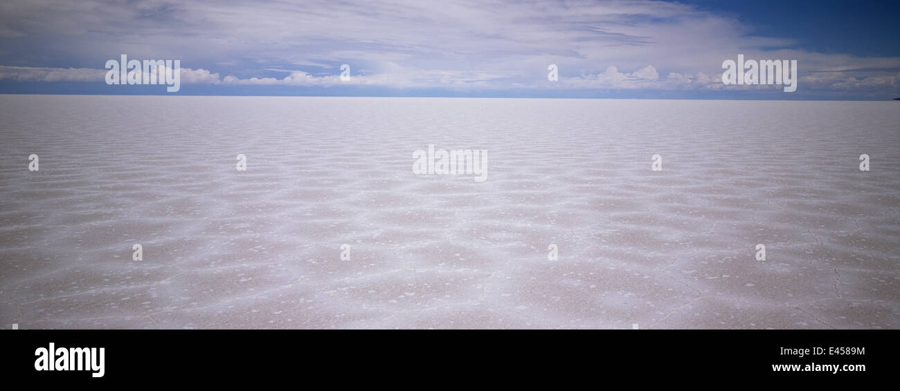 Polygon formations on surface of Uyuni Salt Pan, South western Bolivia ...