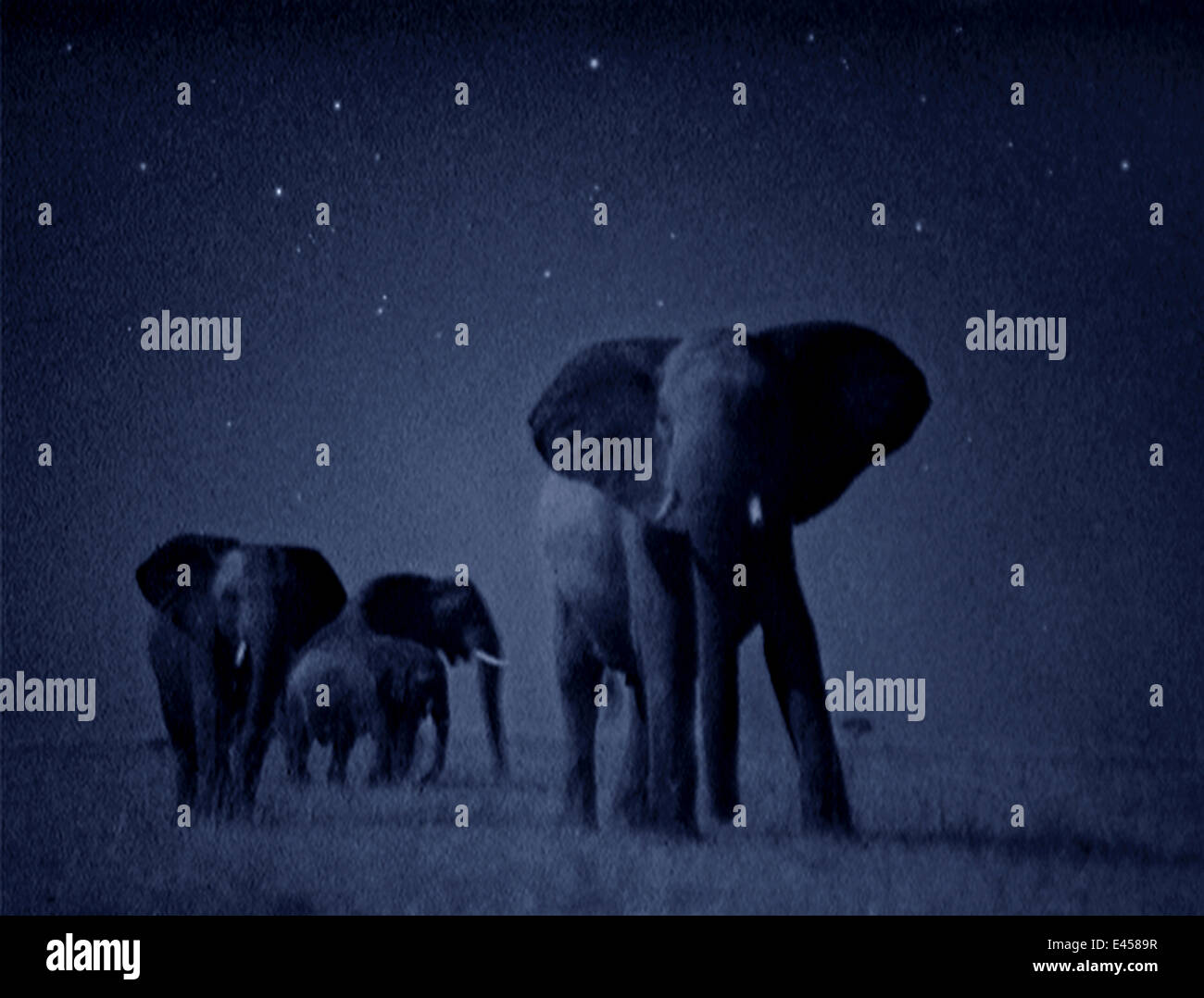 Image intensifier hi-res stock photography and images - Alamy