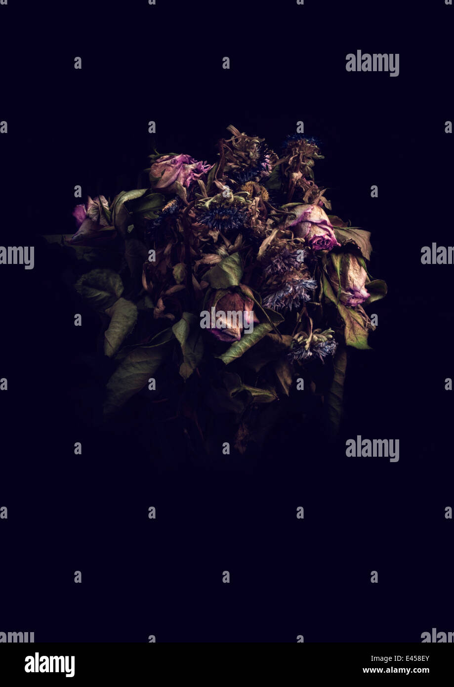 Decaying flowers hi-res stock photography and images - Alamy