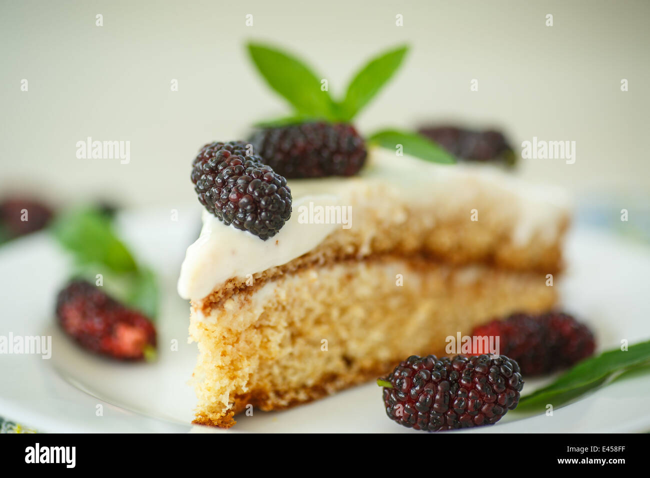 White mulberry on green hi-res stock photography and images - Alamy