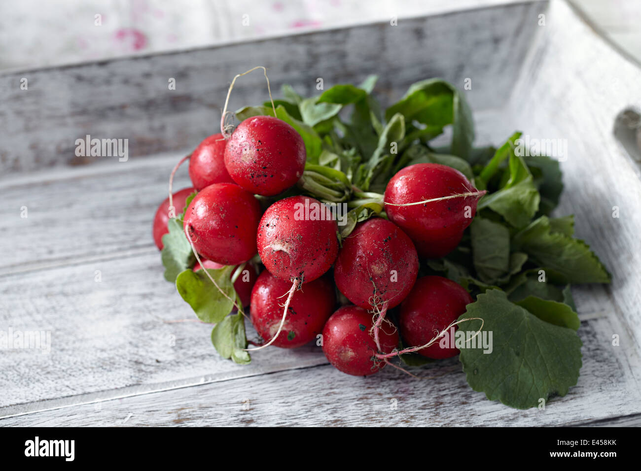 Radish custom hi-res stock photography and images - Alamy