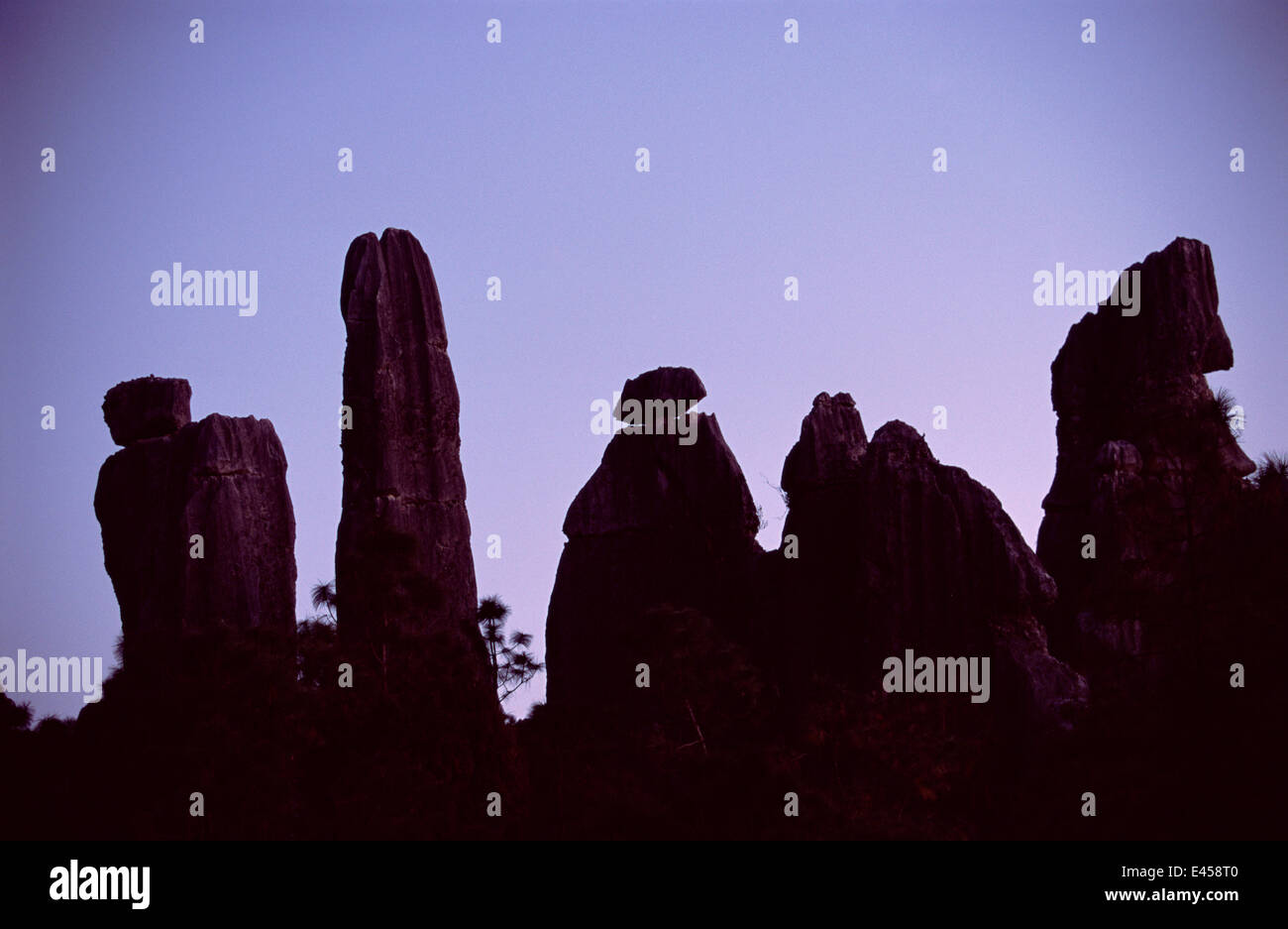 'Stone forest' of eroded limestone pinnacles, Shilin, Yunnan, China ...