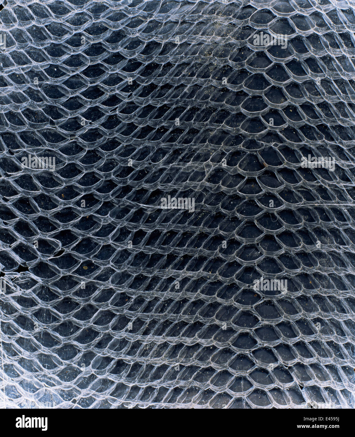 Cast skin hi-res stock photography and images - Alamy