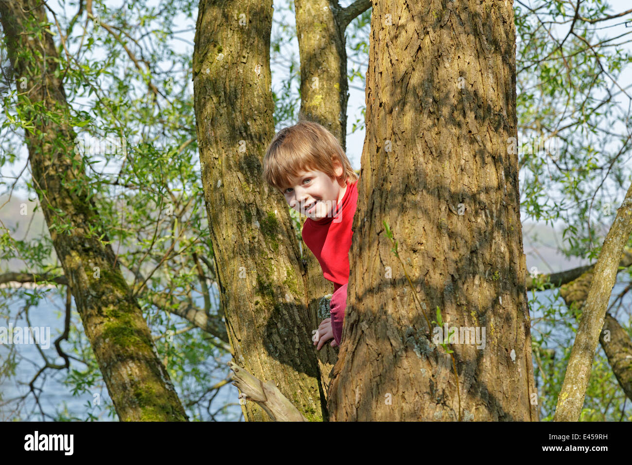 young boy climbing a tree Stock Photo - Alamy