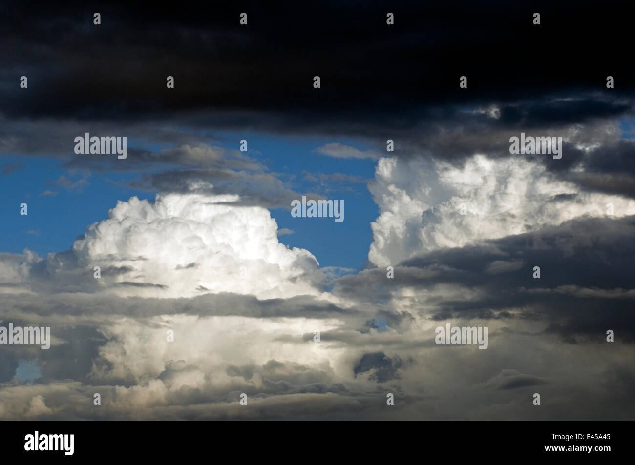 Cumulus congestus clouds over land hi-res stock photography and images ...