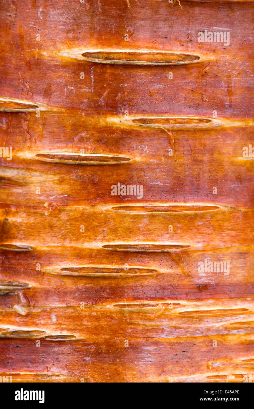 Songli hi-res stock photography and images - Alamy