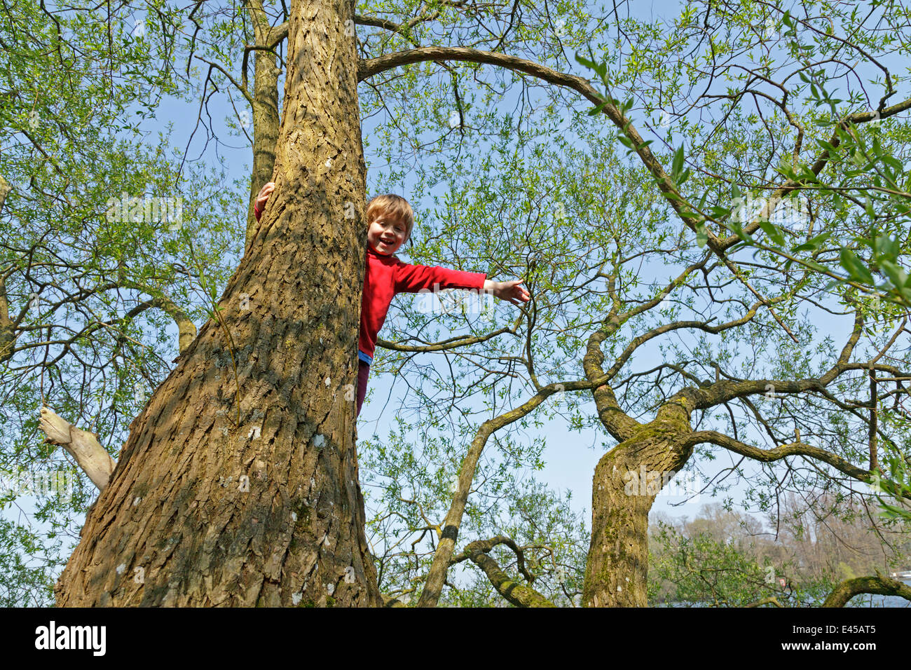 young boy climbing a tree Stock Photo - Alamy