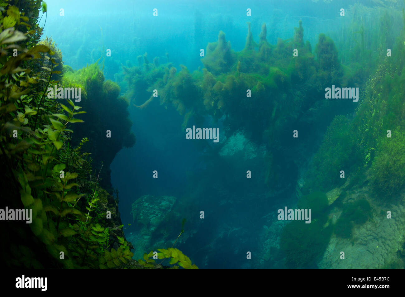 Chalk stream rivers hi-res stock photography and images - Alamy