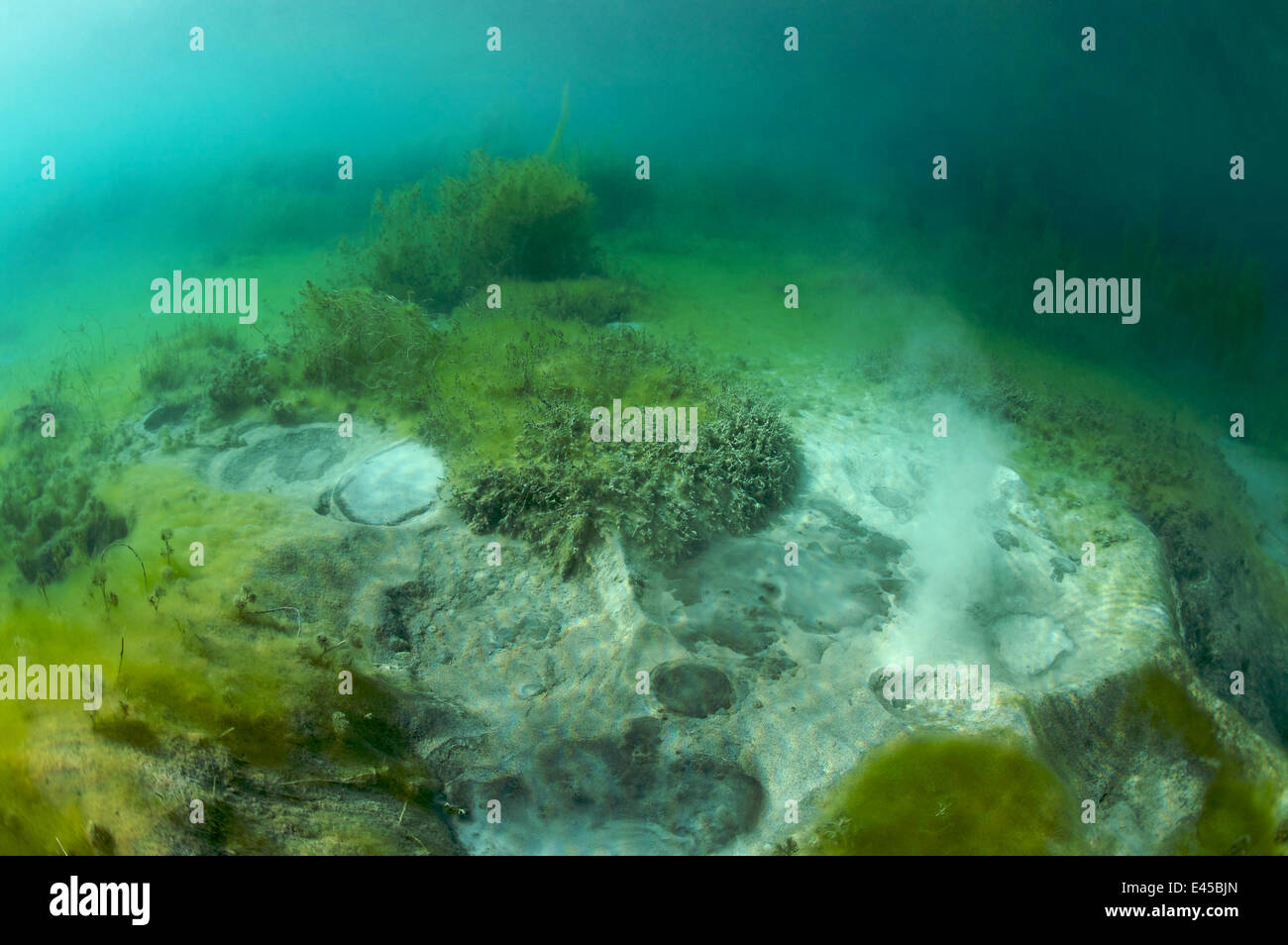 Karst spring where water bubbles up from subterranean source, Julian ...