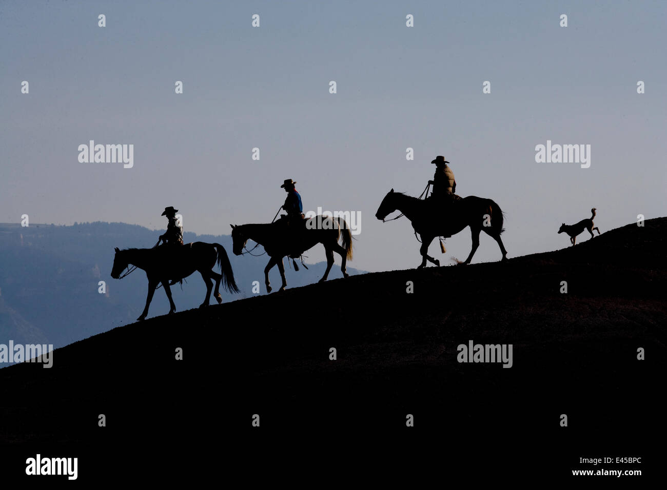 Silhouette of three cowboys and a dog riding down a ridge, Flitner ...