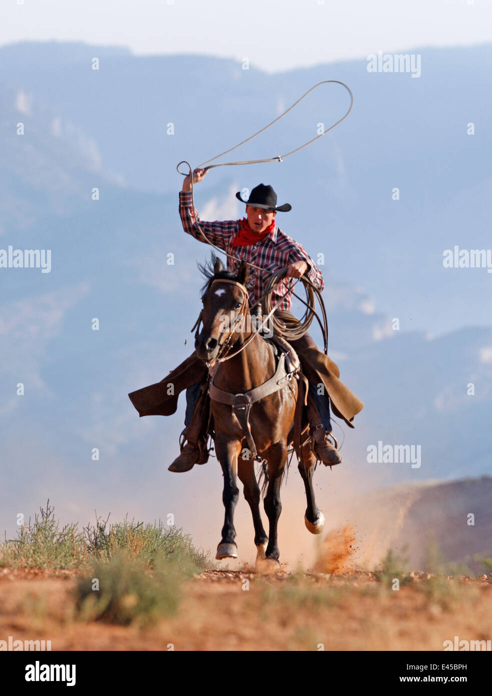 Lassoo hi-res stock photography and images - Alamy