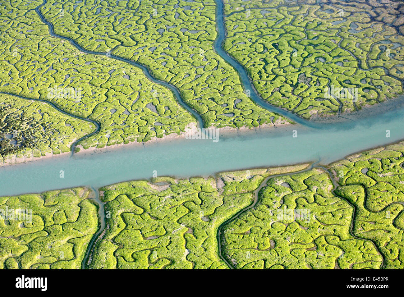 Aerial view of the Bay of Cadiz delta, Sancti Petri, Cádiz, Spain Stock ...