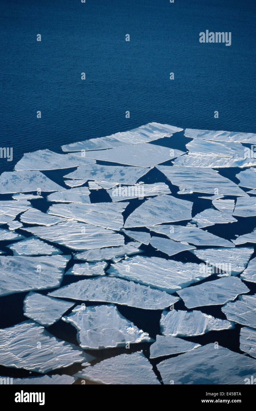 Aerial view of sea ice floe breaking up in summer, Admiralty Inlet ...